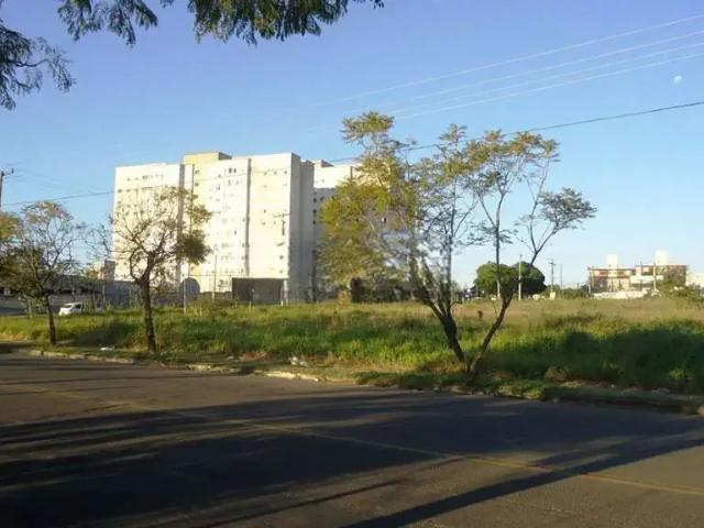 Terreno / Lote para Venda em Porto Alegre/RS Passo das Pedras