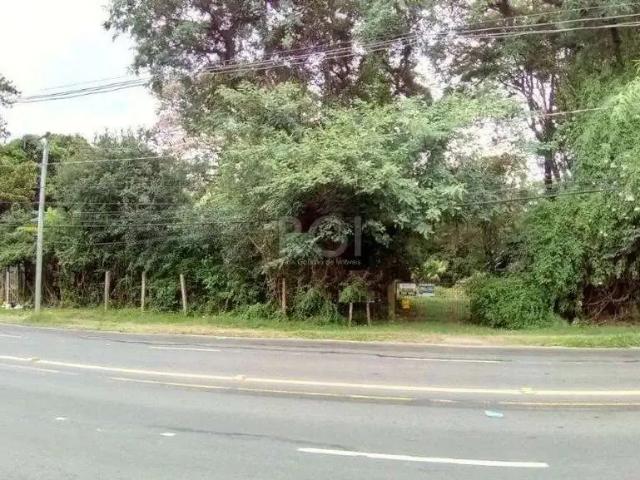Terreno / Lote para Venda em Porto Alegre/RS Pedra Redonda