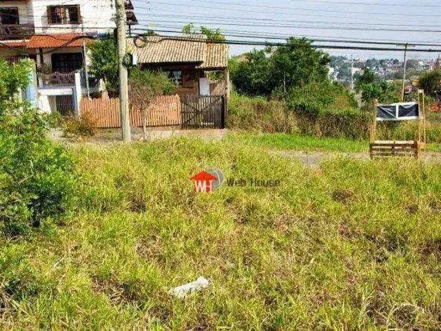 Terreno / Lote para Venda em Porto Alegre/RS Protásio Alves