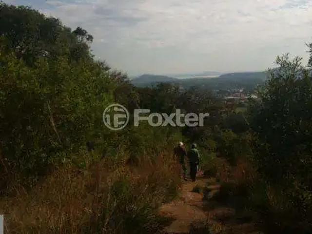 Terreno / Lote para Venda em Porto Alegre/RS Restinga