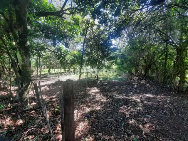 Terreno / Lote para Venda em Porto Alegre/RS Restinga
