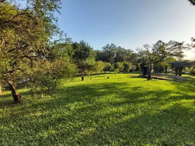 Terreno / Lote para Venda em Porto Alegre/RS Restinga