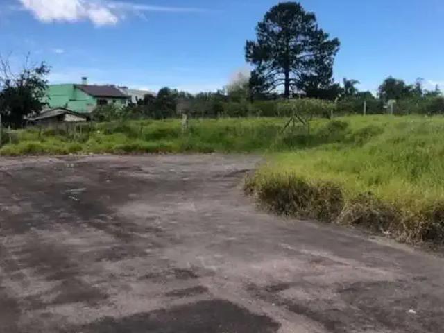 Terreno / Lote para Venda em Porto Alegre/RS Restinga