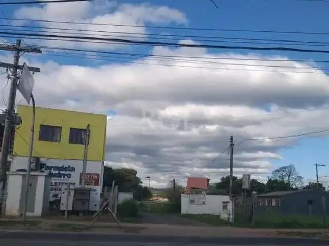 Terreno / Lote para Venda em Porto Alegre/RS Restinga