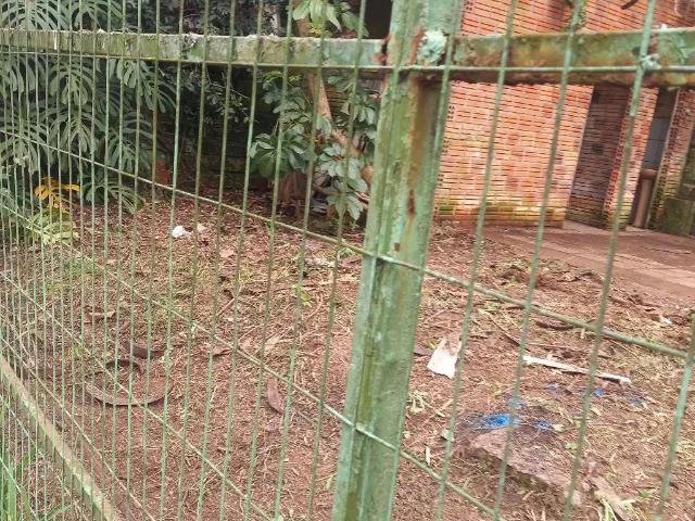 Terreno / Lote para Venda em Porto Alegre/RS São João