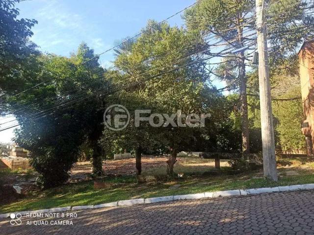 Terreno / Lote para Venda em Porto Alegre/RS Santa Tereza