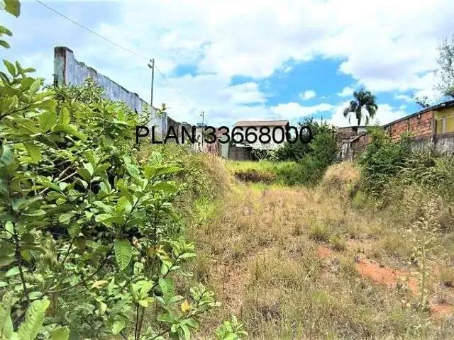 Terreno / Lote para Venda em Porto Alegre/RS Sarandi