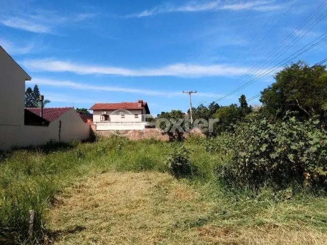 Terreno / Lote para Venda em Porto Alegre/RS Serraria