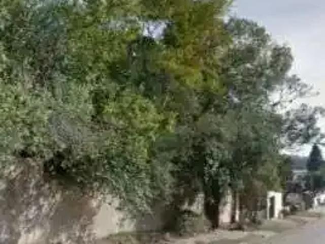 Terreno / Lote para Venda em Porto Alegre/RS Serraria