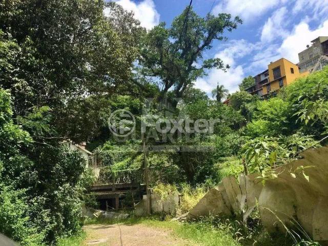 Terreno / Lote para Venda em Porto Alegre/RS Sétimo Céu