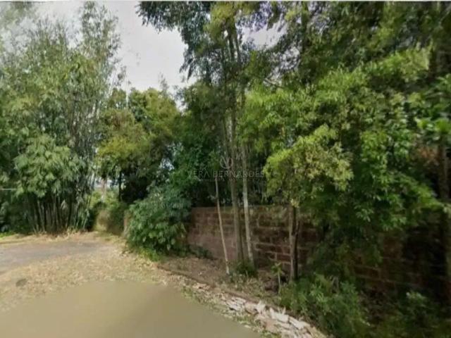 Terreno / Lote para Venda em Porto Alegre/RS Sétimo Céu