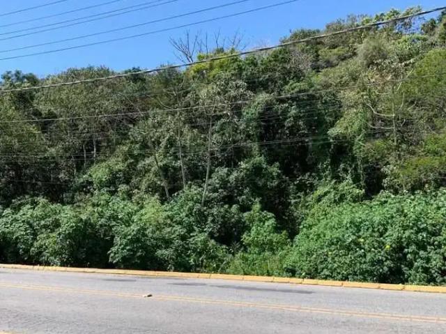 Terreno / Lote para Venda em Porto Belo/SC Enseada Encantada