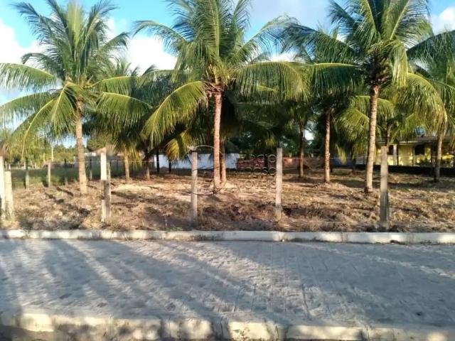 Terreno / Lote para Venda em Porto de Pedras/AL Tatuamunha