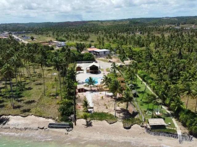 Terreno / Lote para Venda em Porto de Pedras/AL Praia do Patacho