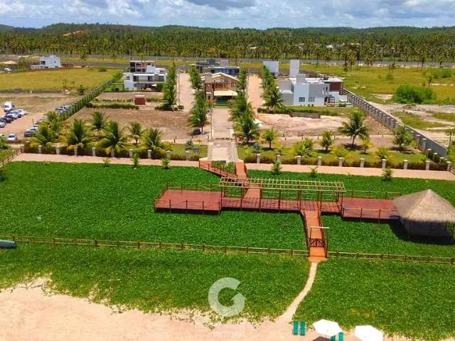 Terreno / Lote para Venda em Porto de Pedras/AL Praia do Patacho