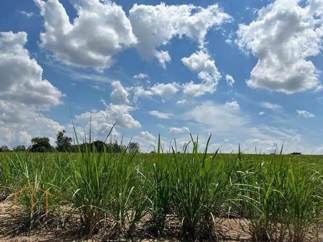 Terreno / Lote para Venda em Porto Feliz/SP Avecuia