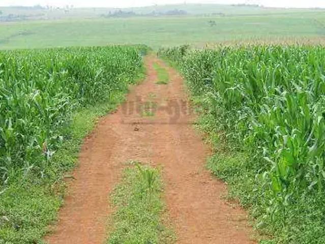 Terreno / Lote para Venda em Porto Feliz/SP Itaqui