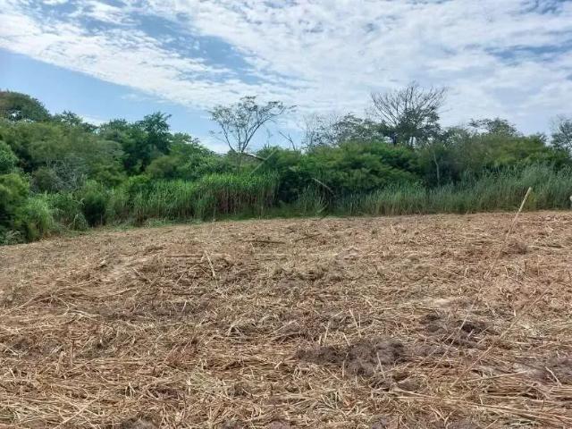 Terreno / Lote para Venda em Porto Feliz/SP Palmital