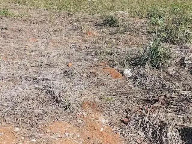 Terreno / Lote para Venda em Porto Ferreira/SP Centro
