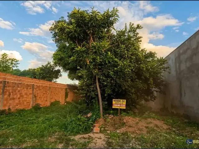 Terreno / Lote para Venda em Porto Nacional/TO Jardim Querido