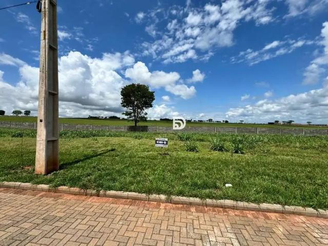 Terreno / Lote para Venda em Porto Rico/PR Centro