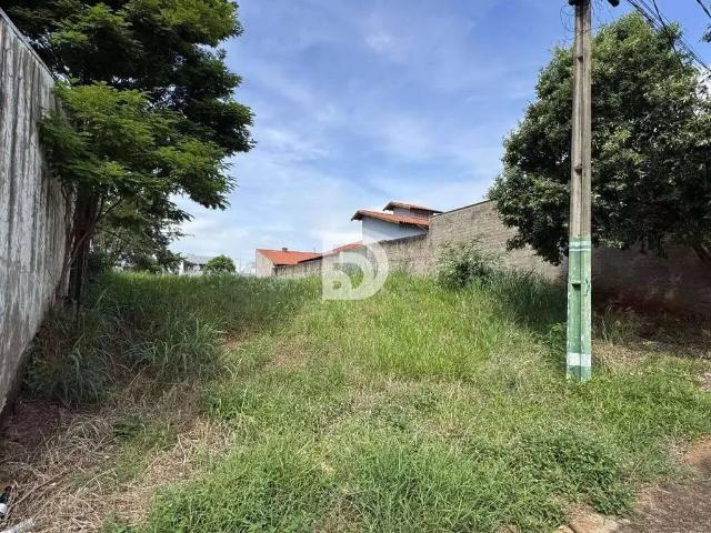 Terreno / Lote para Venda em Porto Rico/PR Centro