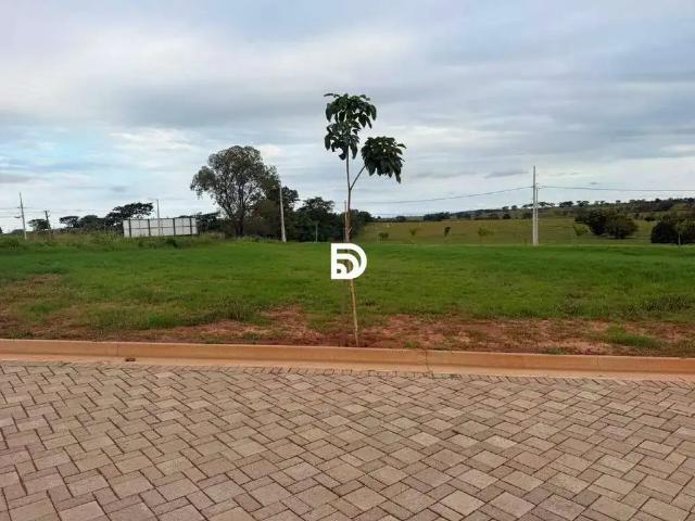 Terreno / Lote para Venda em Porto Rico/PR Aruna