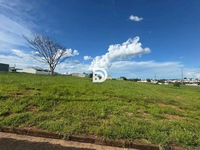 Terreno / Lote para Venda em Porto Rico/PR Loteamento Riviera