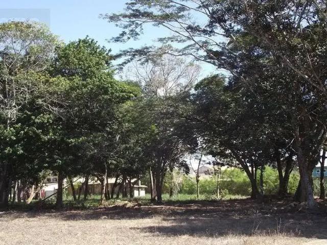 Terreno / Lote para Venda em Porto Seguro/BA Tabapiri