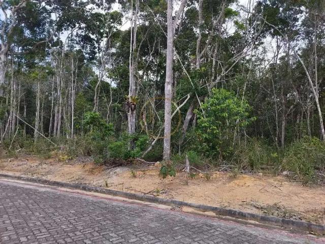 Terreno / Lote para Venda em Porto Seguro/BA Taipe