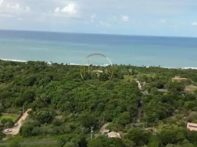 Terreno / Lote para Venda em Porto Seguro/BA Trancoso