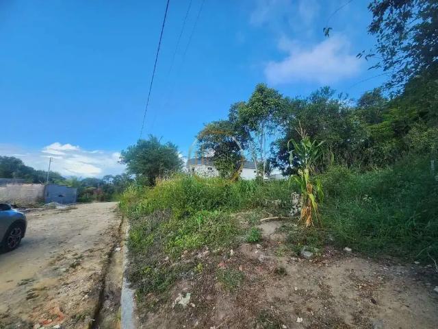 Terreno / Lote para Venda em Porto Seguro/BA Village II