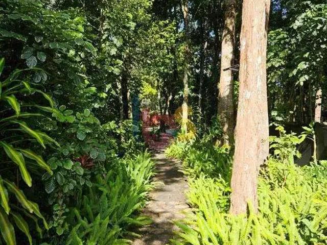 Terreno / Lote para Venda em Porto Seguro/BA Arraial D´Ajuda