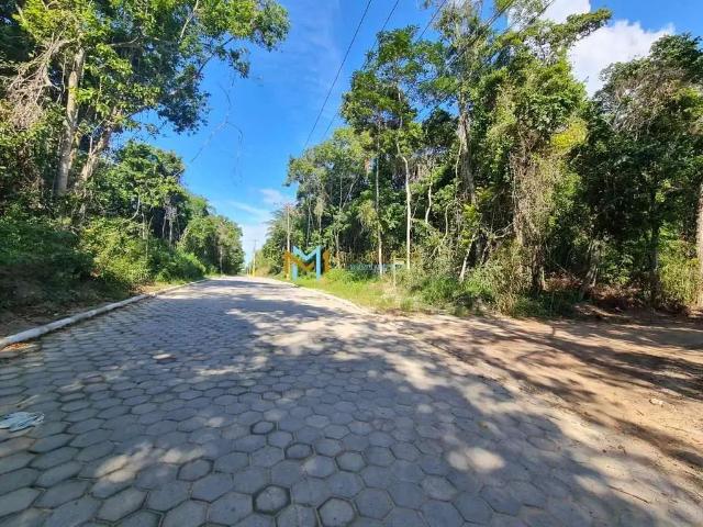 Terreno / Lote para Venda em Porto Seguro/BA Arraial D´Ajuda