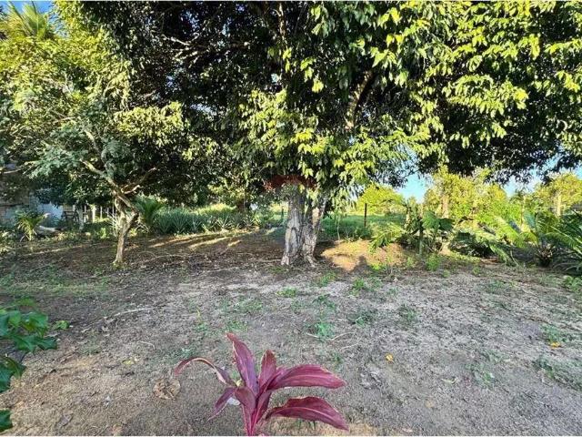 Terreno / Lote para Venda em Porto Seguro/BA Centro