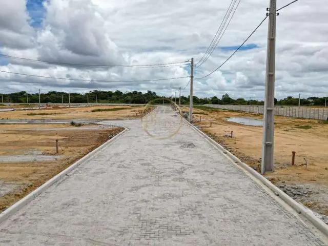 Terreno / Lote para Venda em Porto Seguro/BA Centro