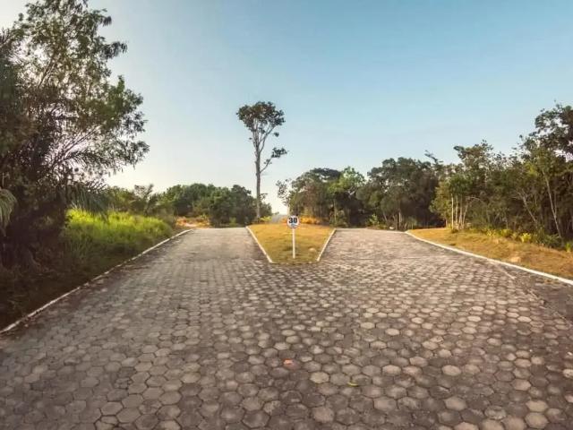 Terreno / Lote para Venda em Porto Seguro/BA Coroa Vermelha