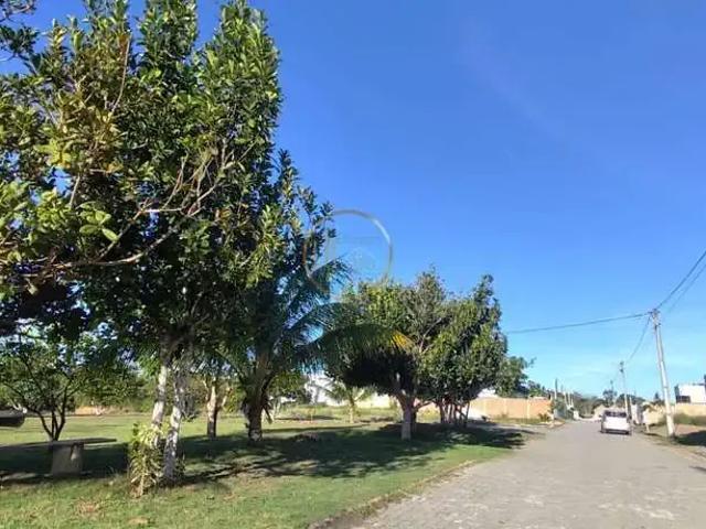 Terreno / Lote para Venda em Porto Seguro/BA Jardins do Descobrimento