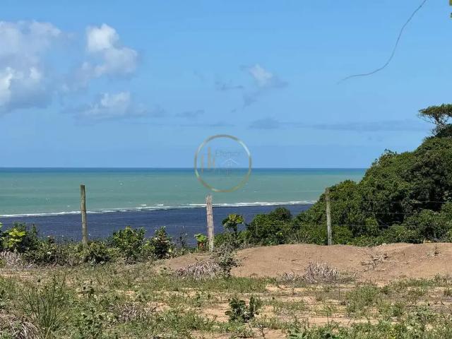 Terreno / Lote para Venda em Porto Seguro/BA Outeiro da Glória
