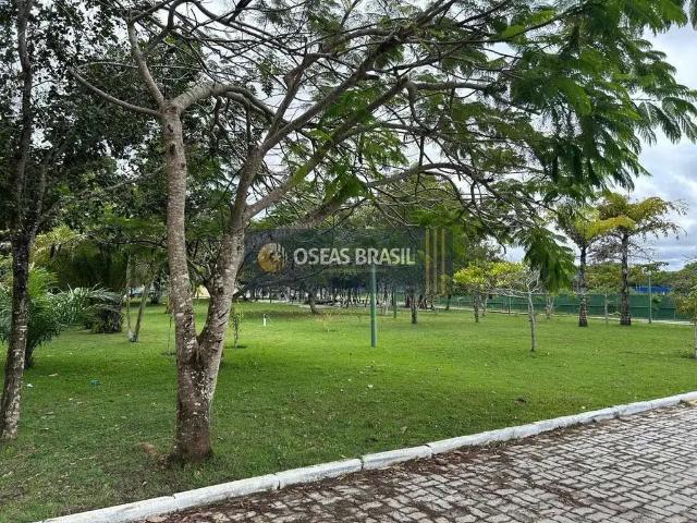 Terreno / Lote para Venda em Porto Seguro/BA Outeiro da Glória
