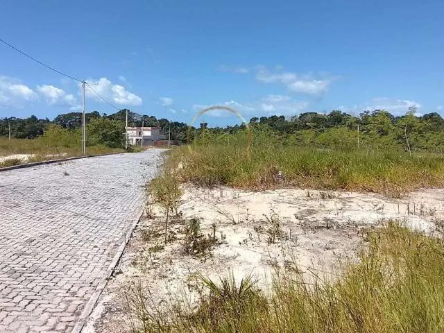 Terreno / Lote para Venda em Porto Seguro/BA Praia De Taperapuan