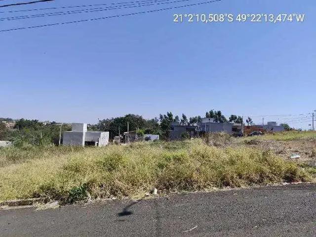 Terreno / Lote para Venda em Potirendaba/SP Jardim dos Eucaliptos