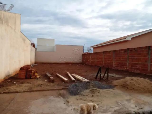 Terreno / Lote para Venda em Potirendaba/SP Jardim São Francisco