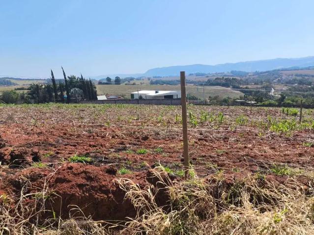Terreno / Lote para Venda em Pouso Alegre/MG Afonsos