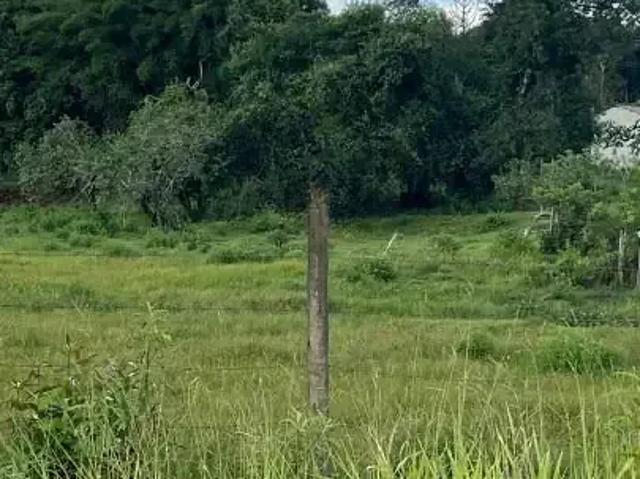 Terreno / Lote para Venda em Pouso Alegre/MG Afonsos