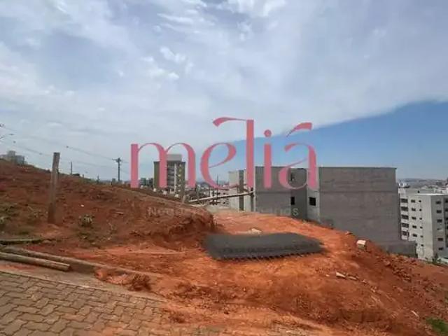 Terreno / Lote para Venda em Pouso Alegre/MG Boa Vista