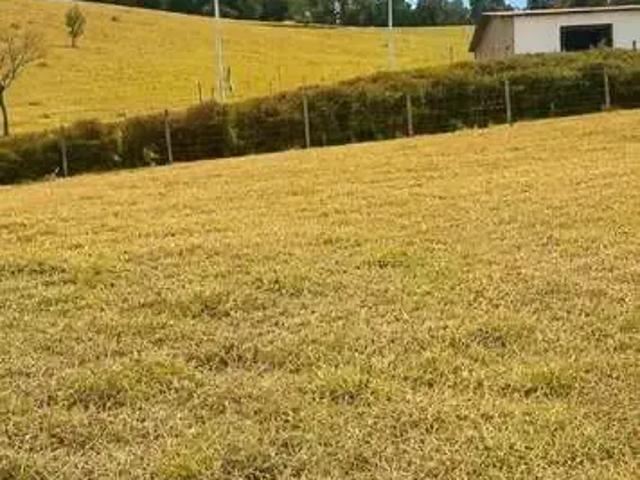 Terreno / Lote para Venda em Pouso Alegre/MG Cantagalo