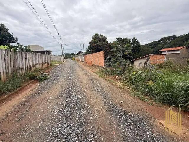 Terreno / Lote para Venda em Pouso Alegre/MG Cantagalo