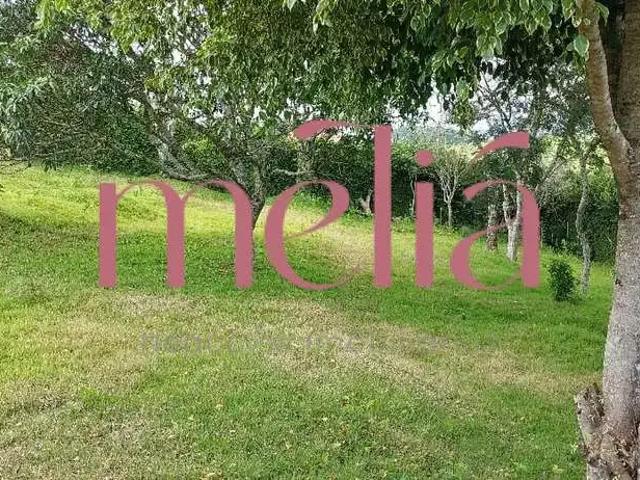 Terreno / Lote para Venda em Pouso Alegre/MG Caiçara