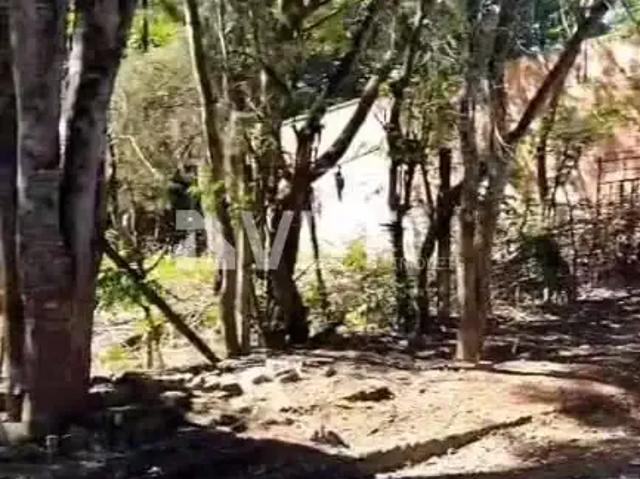 Terreno / Lote para Venda em Pouso Alegre/MG Centro